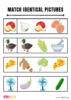 Match Identical Pictures Workbook - Kidpid