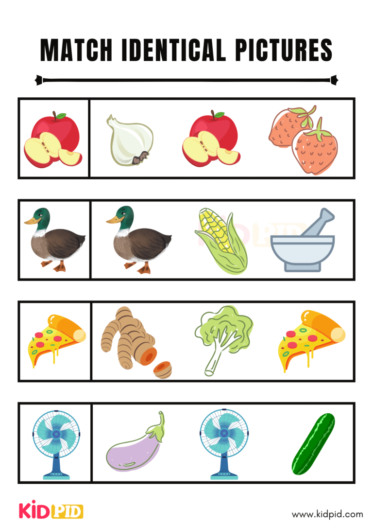 Match Identical Pictures Workbook - Kidpid