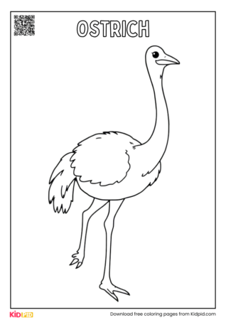 Birds Coloring Pages For Kids - Kidpid