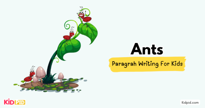 Paragraph on 'Ants' - Kidpid