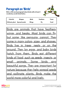 Paragraph on 'Birds' - Kidpid
