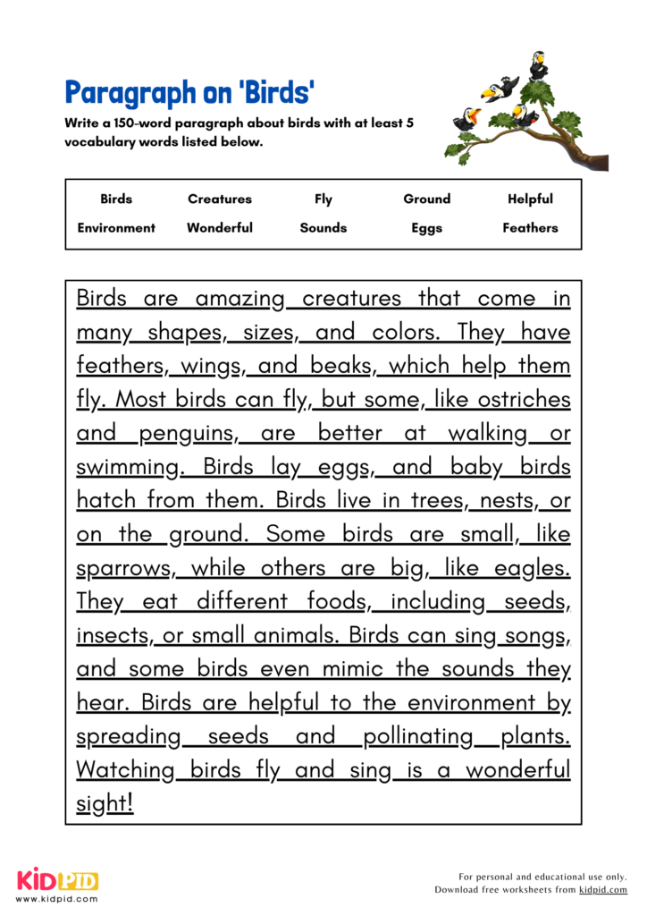 Paragraph on 'Birds' - Kidpid