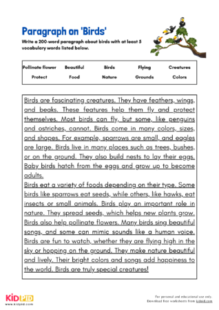 Paragraph on 'Birds' - Kidpid
