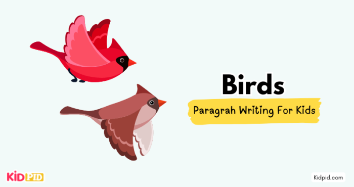 Paragraph on 'Birds' - Kidpid