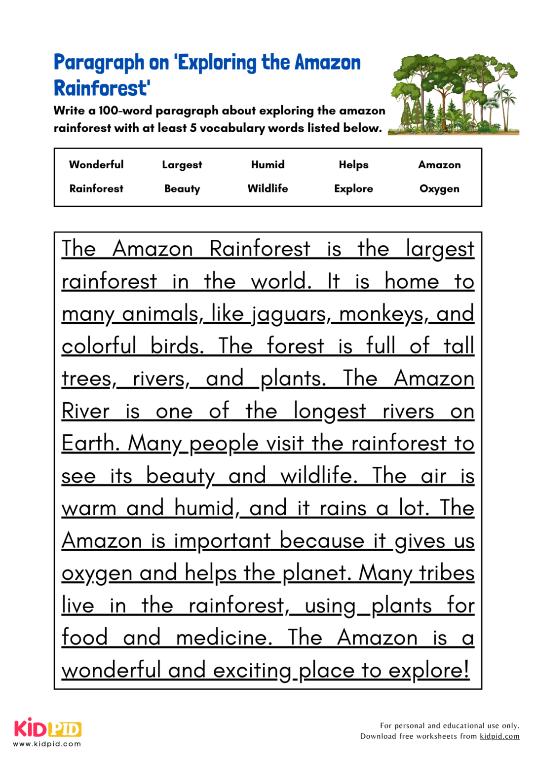 Paragraph on 'Exploring the Amazon Rainforest' - Kidpid