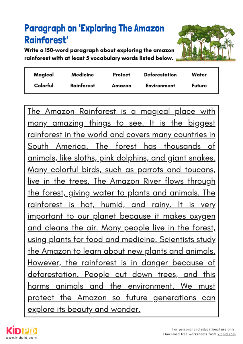 Paragraph on 'Exploring the Amazon Rainforest' - Kidpid