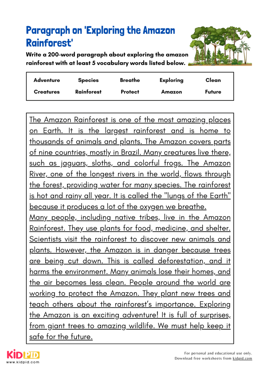 Paragraph on 'Exploring the Amazon Rainforest' - Kidpid