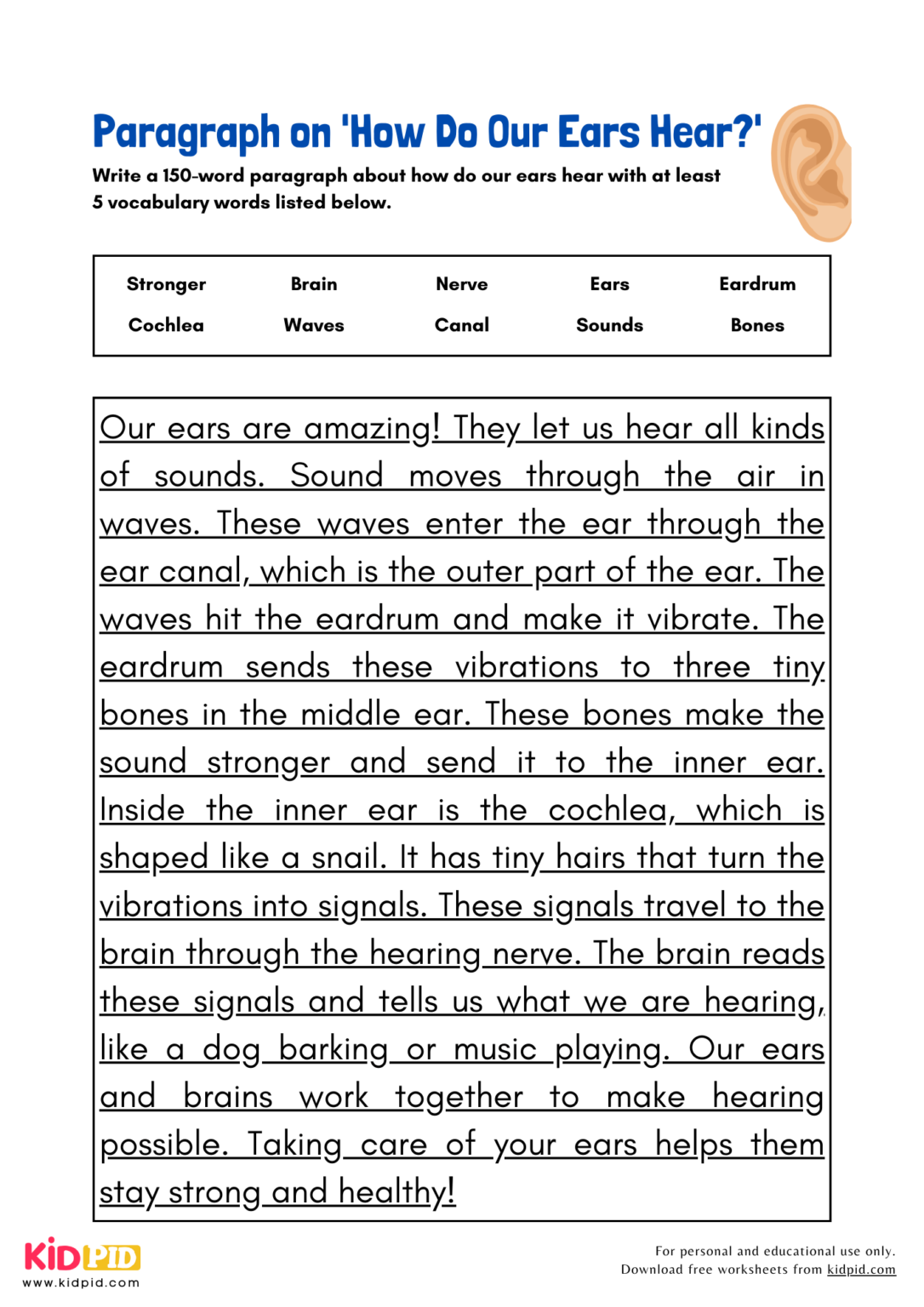 Paragraph on 'How Do Our Ears Hear?' - Kidpid