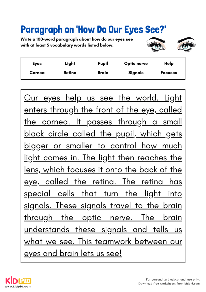 Paragraph on 'How Do Our Eyes See?' - Kidpid
