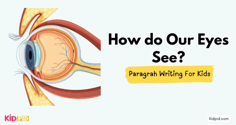Paragraph On How Do Our Eyes See Kidpid