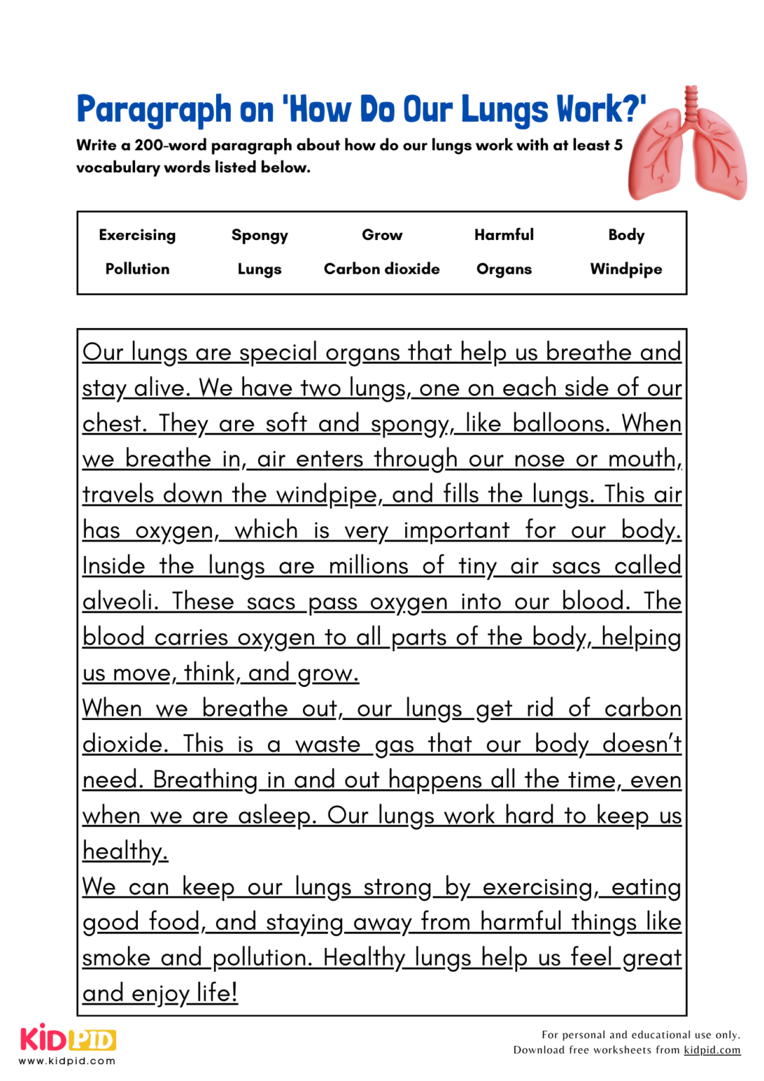 Paragraph on 'How Do Our Lungs Work?' - Kidpid