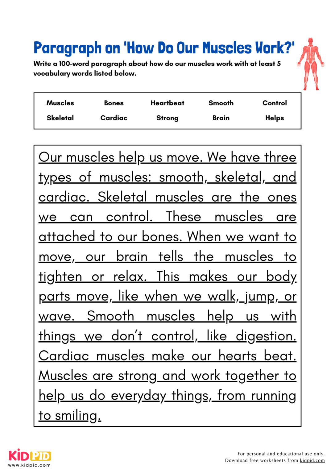 Paragraph on 'How Do Our Muscles Work?' - Kidpid