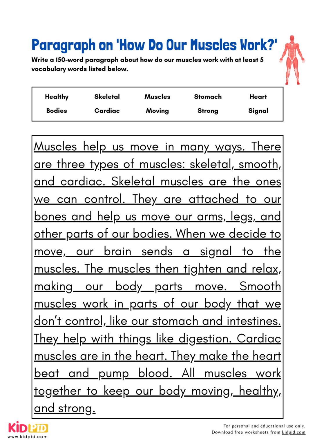 Paragraph on 'How Do Our Muscles Work?' - Kidpid