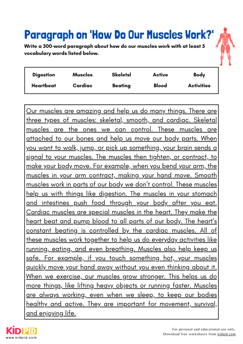 Paragraph on 'How Do Our Muscles Work?' - Kidpid
