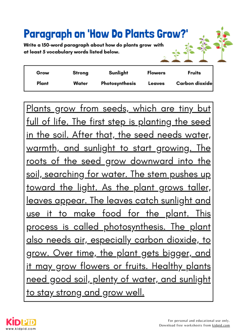 Paragraph on 'How Do Plants Grow?' - Kidpid