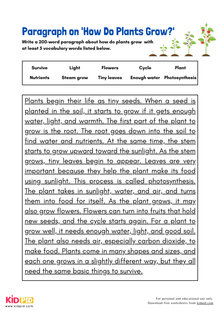 Paragraph on 'How Do Plants Grow?' - Kidpid