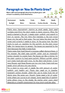 Paragraph on 'How Do Plants Grow?' - Kidpid