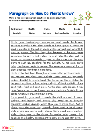 Paragraph on 'How Do Plants Grow?' - Kidpid