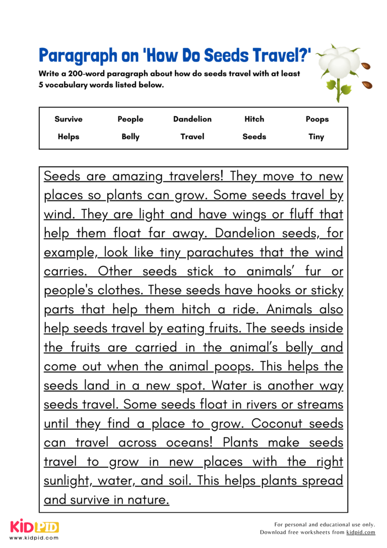 Paragraph on 'How Do Seeds Travel?' - Kidpid