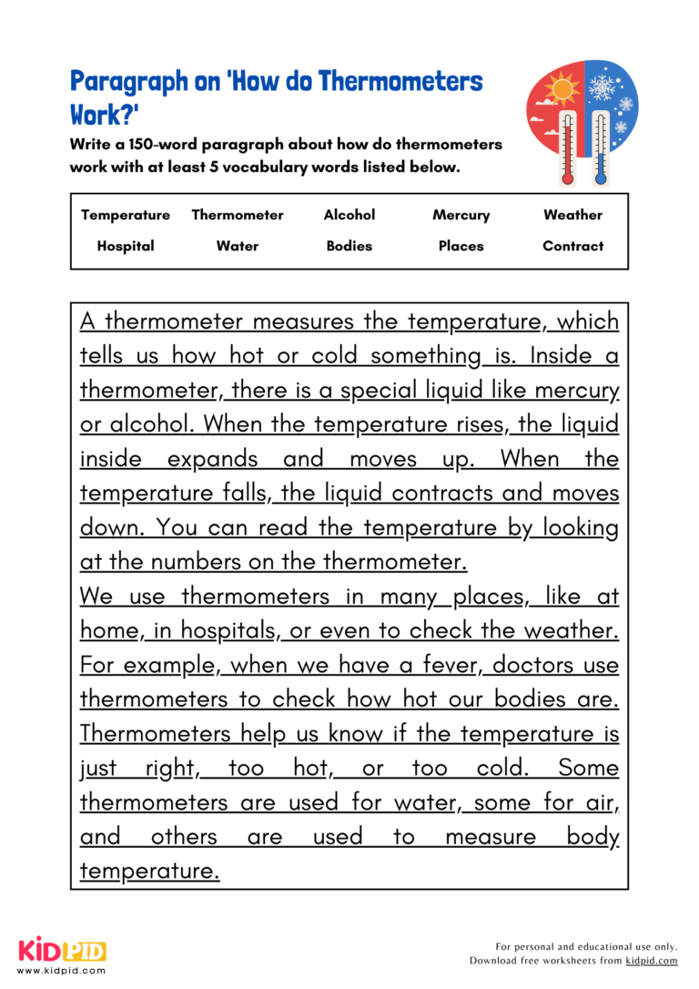 Paragraph on 'How do Thermometers Work?' - Kidpid