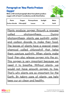 Paragraph on 'How Plants Produce Oxygen' - Kidpid
