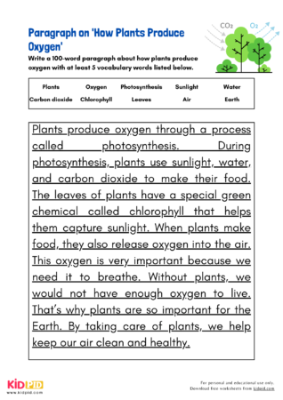 Paragraph on 'How Plants Produce Oxygen' - Kidpid
