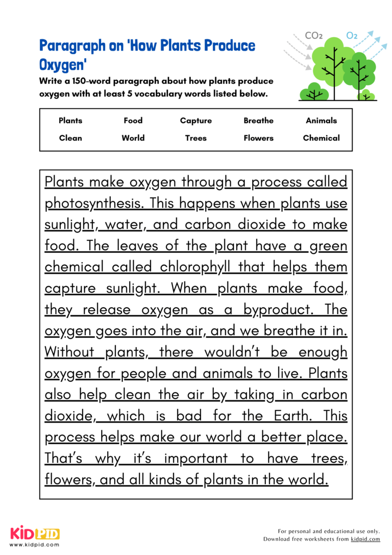 Paragraph on 'How Plants Produce Oxygen' - Kidpid