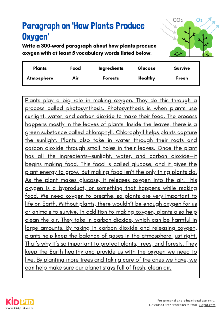 Paragraph on 'How Plants Produce Oxygen' - Kidpid