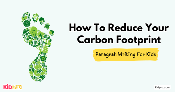 Paragraph on 'How to Reduce Your Carbon Footprint' - Kidpid