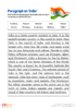 Paragraph on 'India' - Kidpid