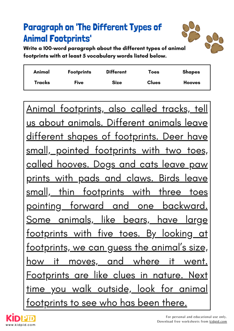 Paragraph on 'The Different Types of Animal Footprints' - Kidpid