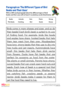 Paragraph on 'The Different Types of Bird Beaks and Their Uses' - Kidpid