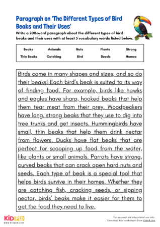 Paragraph on 'The Different Types of Bird Beaks and Their Uses' - Kidpid