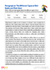 Paragraph on 'The Different Types of Bird Beaks and Their Uses' - Kidpid