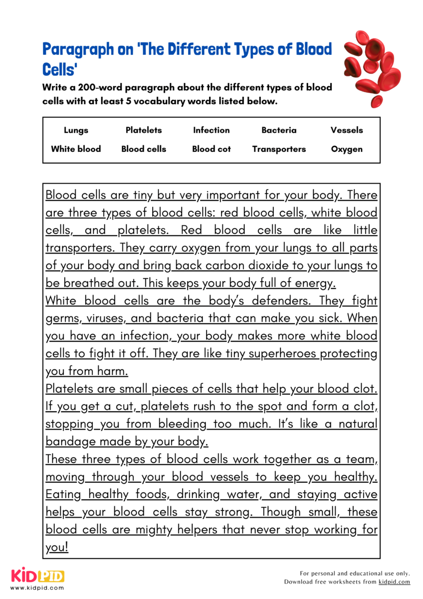 Paragraph on 'The Different Types of Blood Cells' - Kidpid