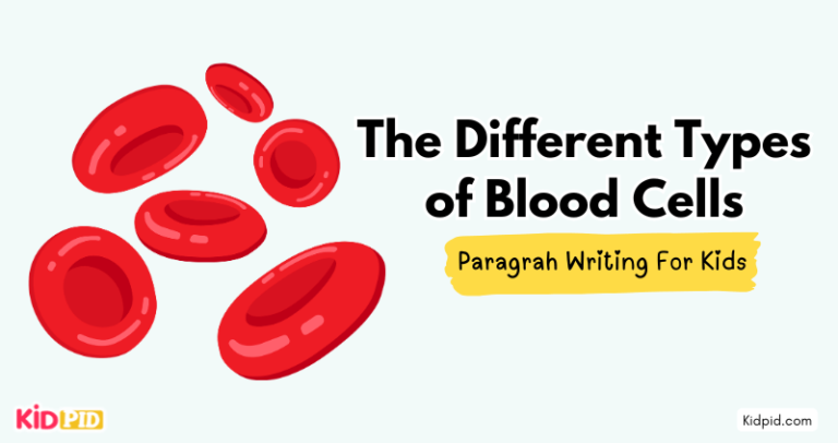 Paragraph on 'The Different Types of Blood Cells' - Kidpid