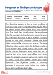 Paragraph on 'The Digestive System' - Kidpid