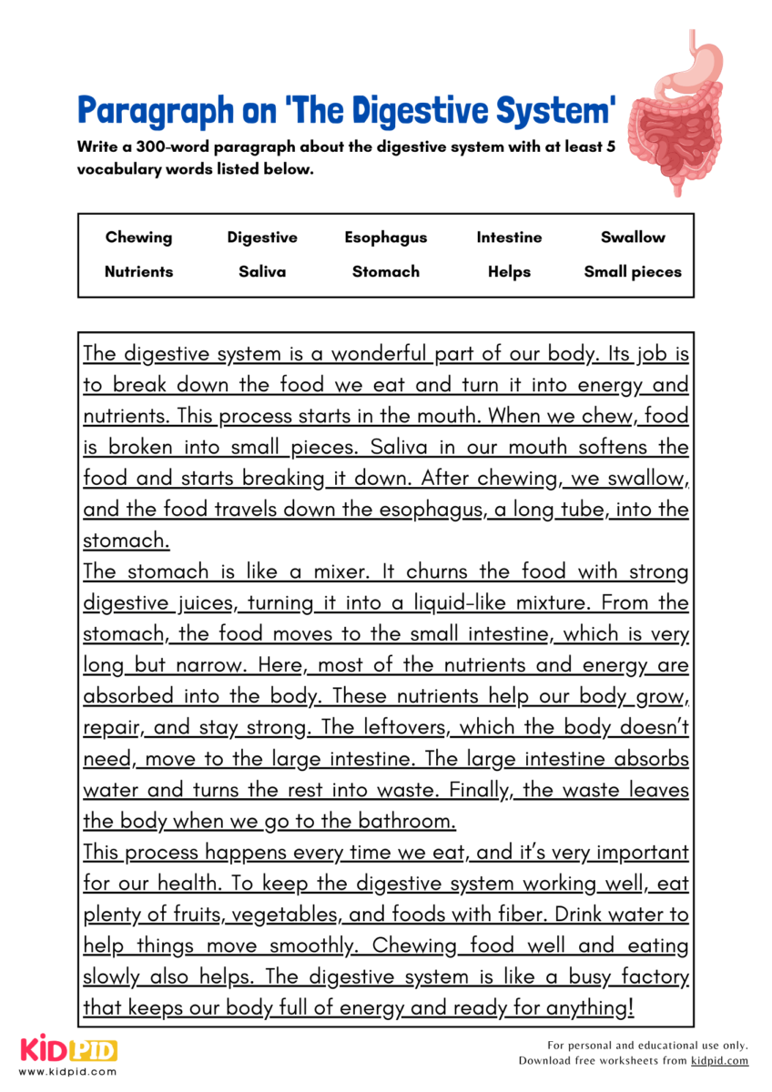Paragraph on 'The Digestive System' - Kidpid