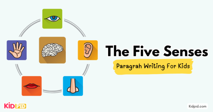 Paragraph on 'The Five Senses' - Kidpid