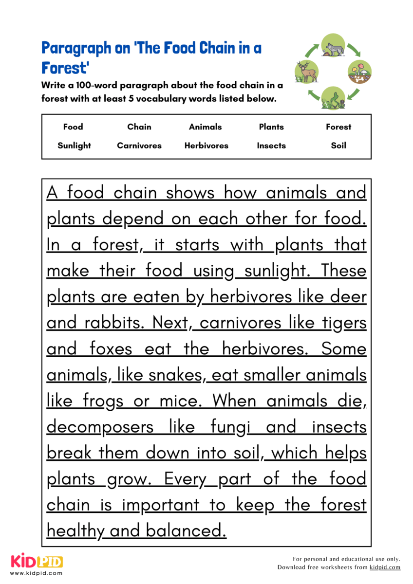 Paragraph on 'The Food Chain in a Forest' - Kidpid