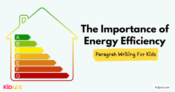 Paragraph on 'The Importance of Energy Efficiency' - Kidpid