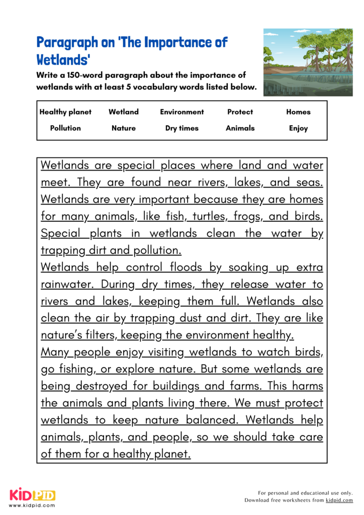Paragraph on 'The Importance of Wetlands' - Kidpid