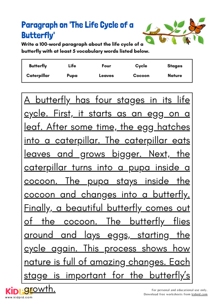 Paragraph on 'The Life Cycle of a Butterfly' - Kidpid