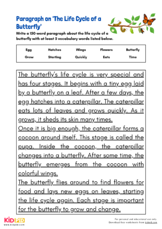 Paragraph on 'The Life Cycle of a Butterfly' - Kidpid