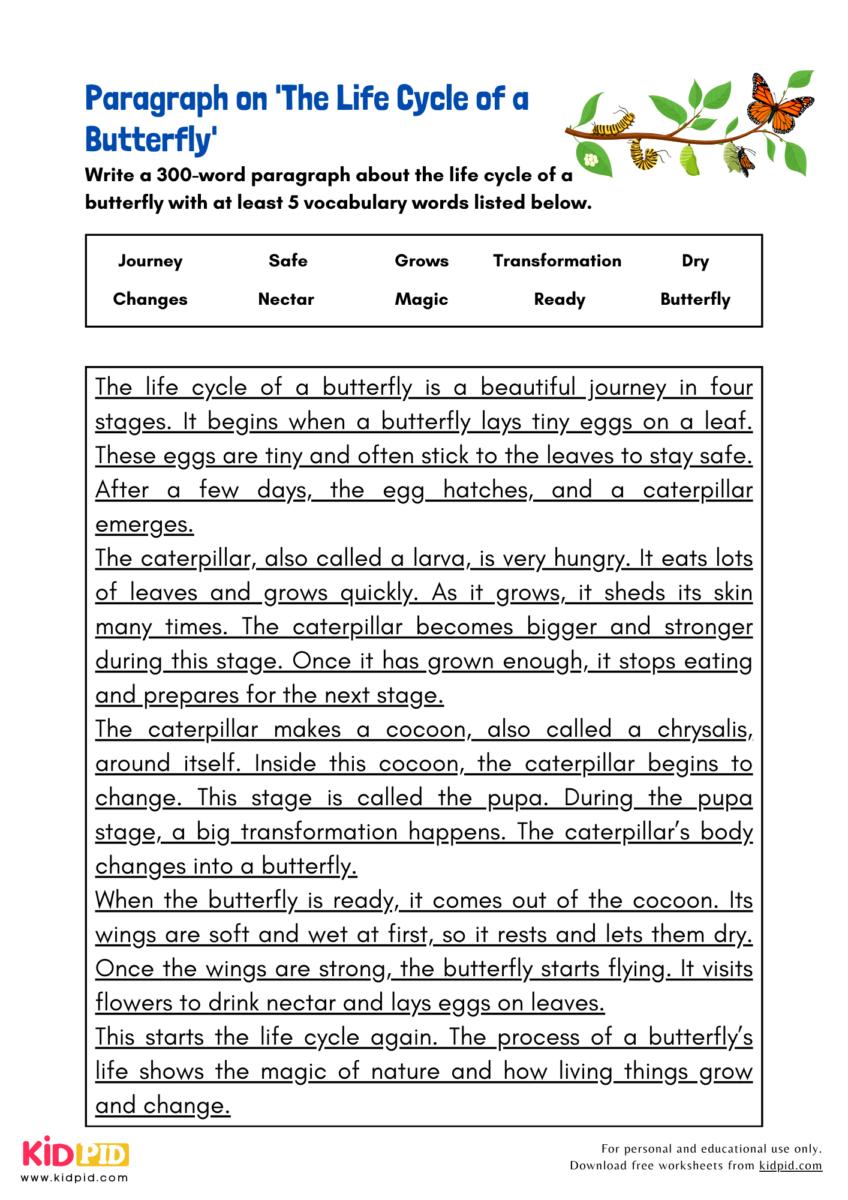 Paragraph on 'The Life Cycle of a Butterfly' - Kidpid