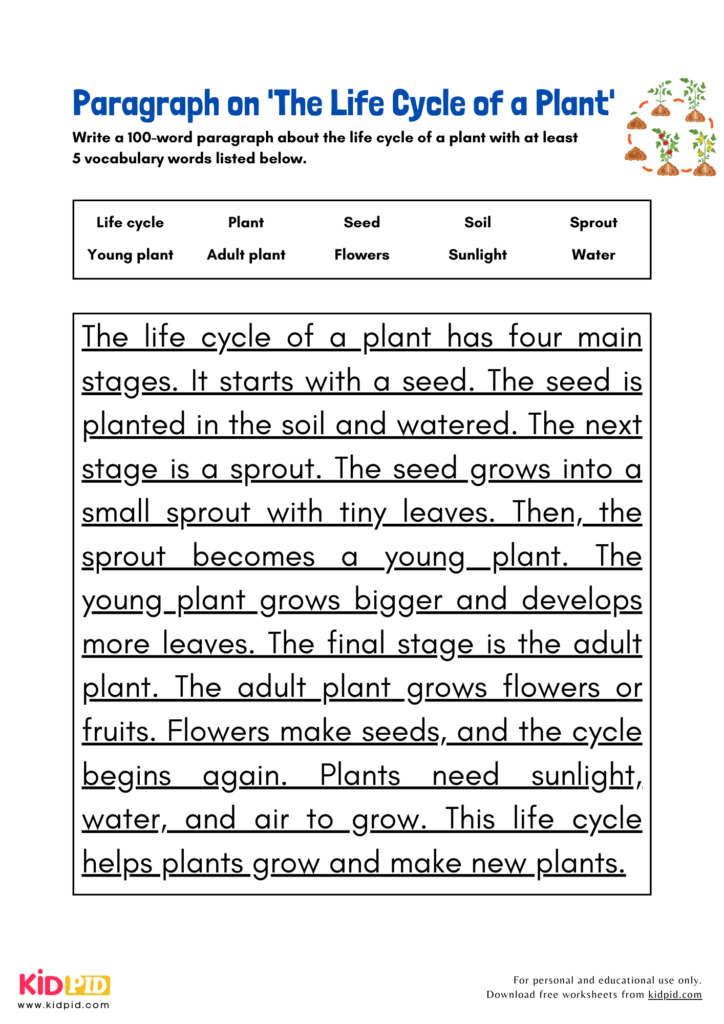 Paragraph on 'The Life Cycle of a Plant' - Kidpid