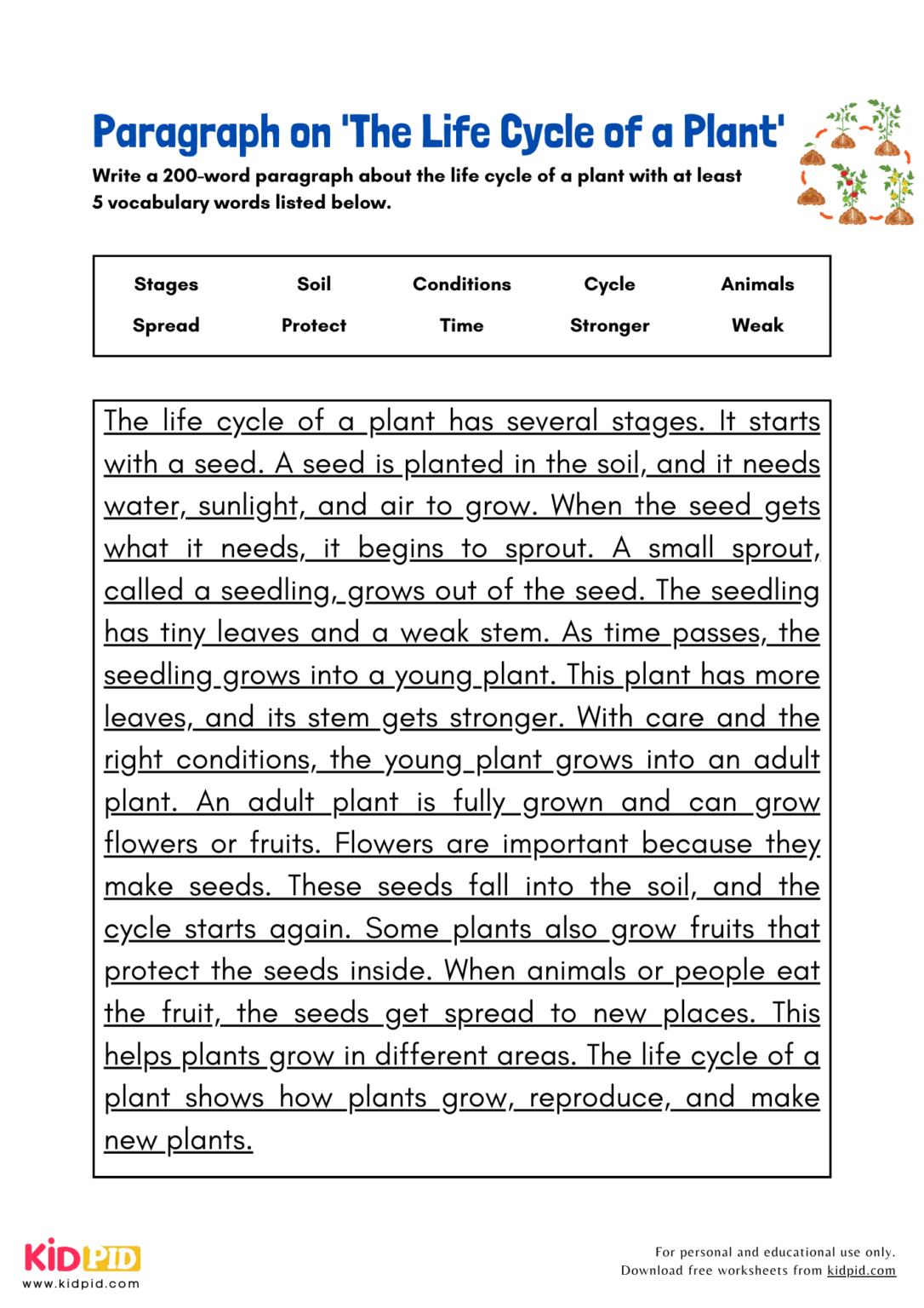 Paragraph on 'The Life Cycle of a Plant' - Kidpid