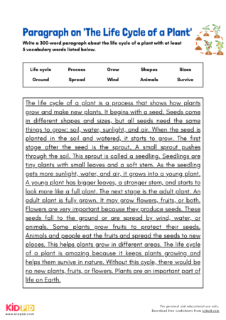 Paragraph on 'The Life Cycle of a Plant' - Kidpid
