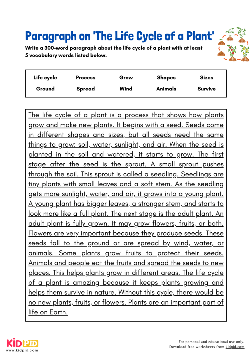 Paragraph on 'The Life Cycle of a Plant' - Kidpid