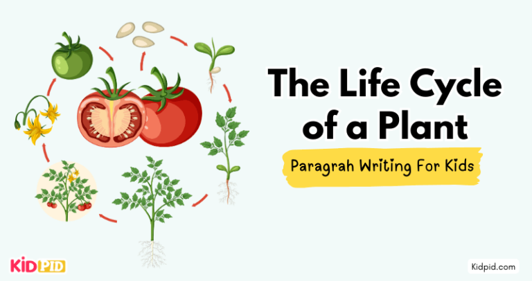 Paragraph on 'The Life Cycle of a Plant' - Kidpid